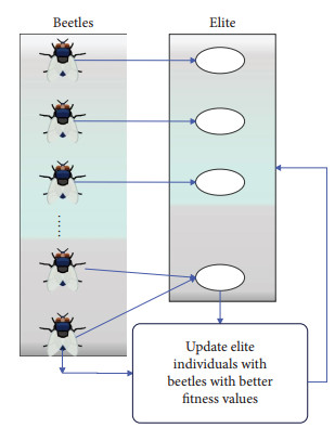 Power Transmission Network Optimization Strategy Based on Random Fractal Beetle Antenna Algorithm