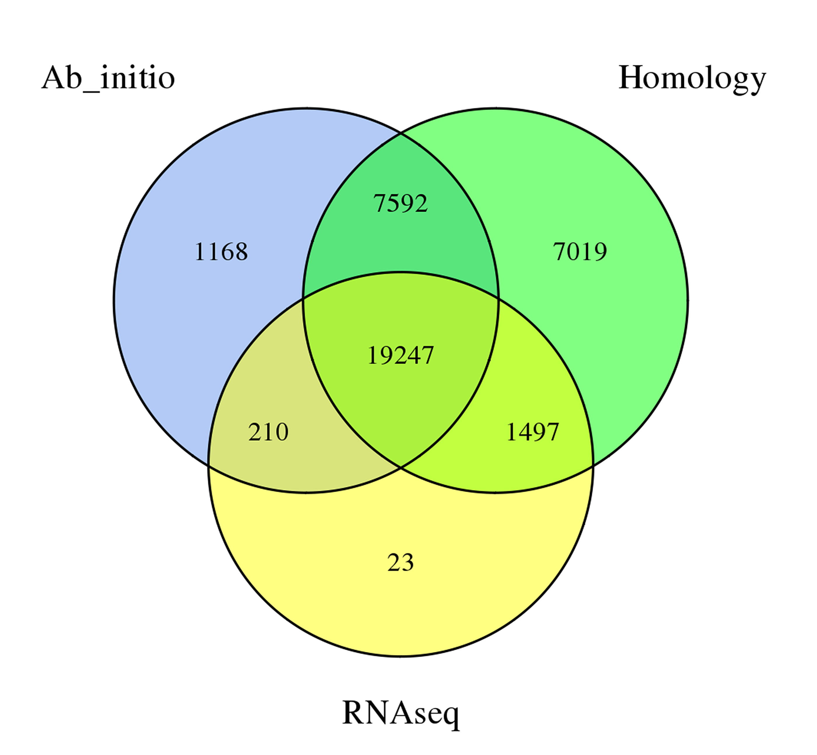 Chromosome-level genome assembly and annotation of the native Chinese ...