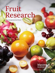 Coreless apples generated by the suppression of carpel genes and ...