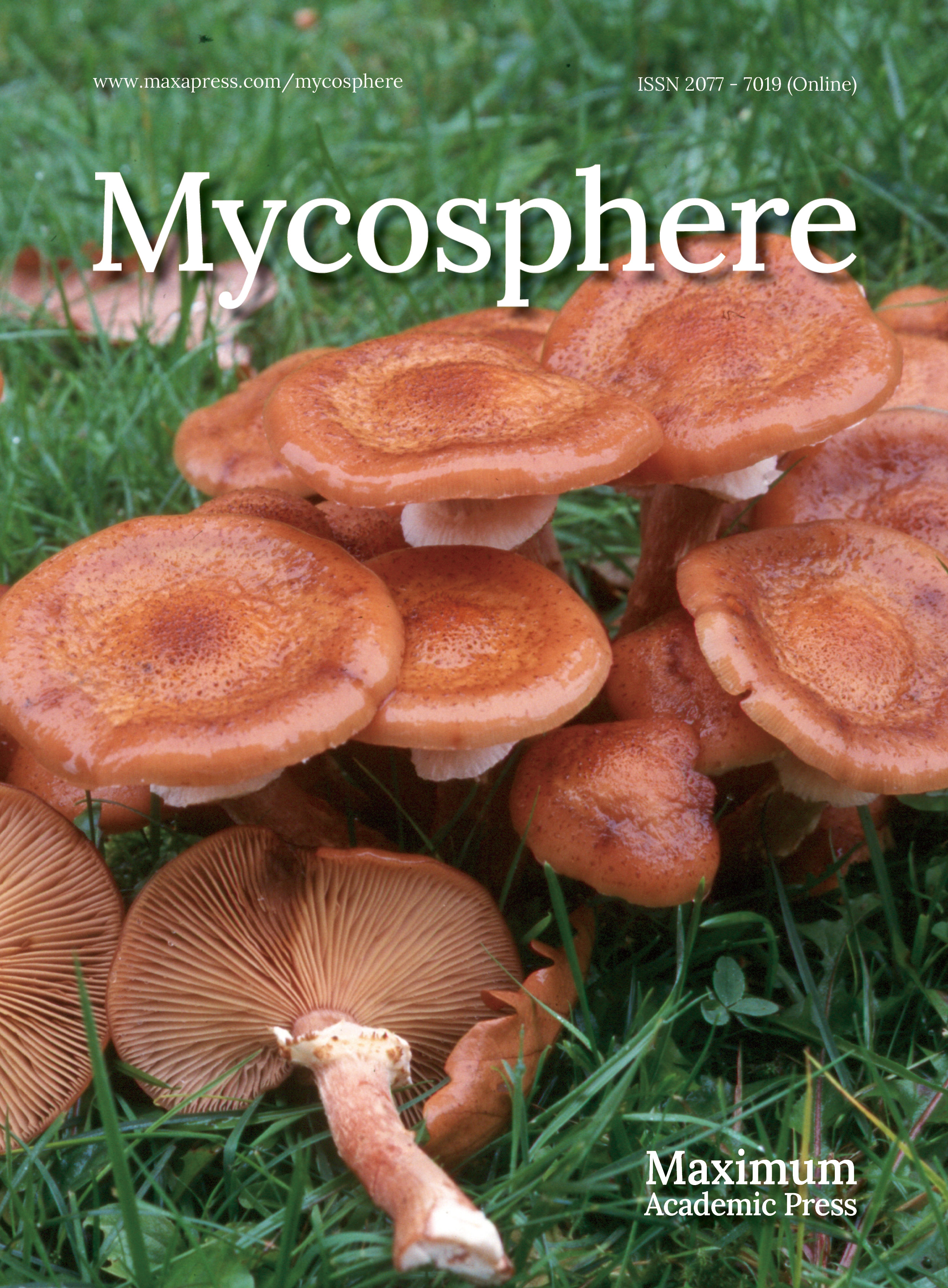 Mycosphere
