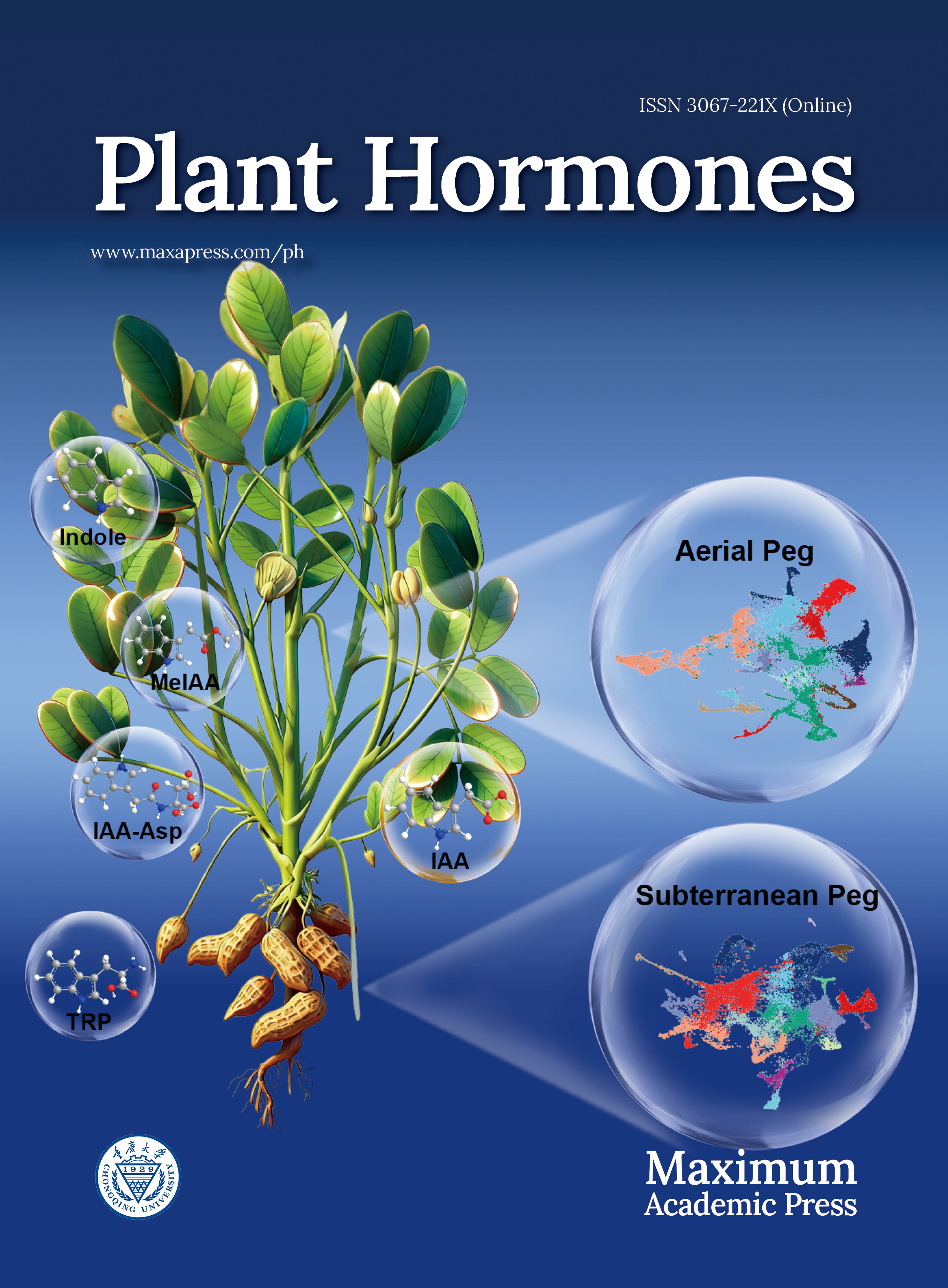 Plant Hormones a broader understanding of plant development processes ...