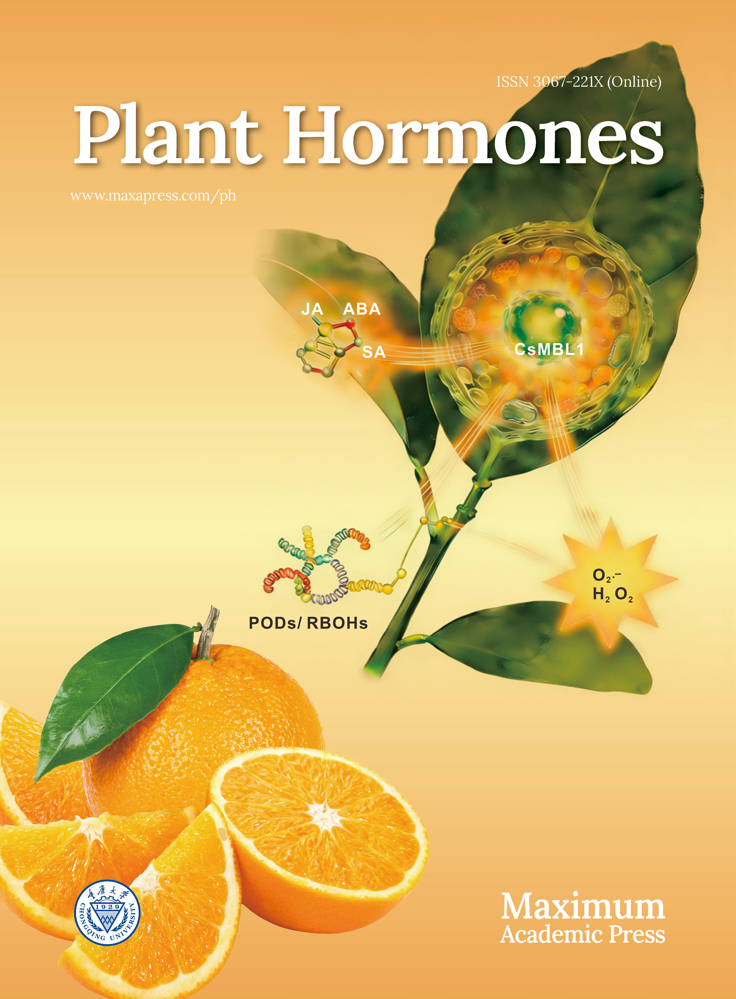 Plant CLE peptides functions, challenges, and future prospects