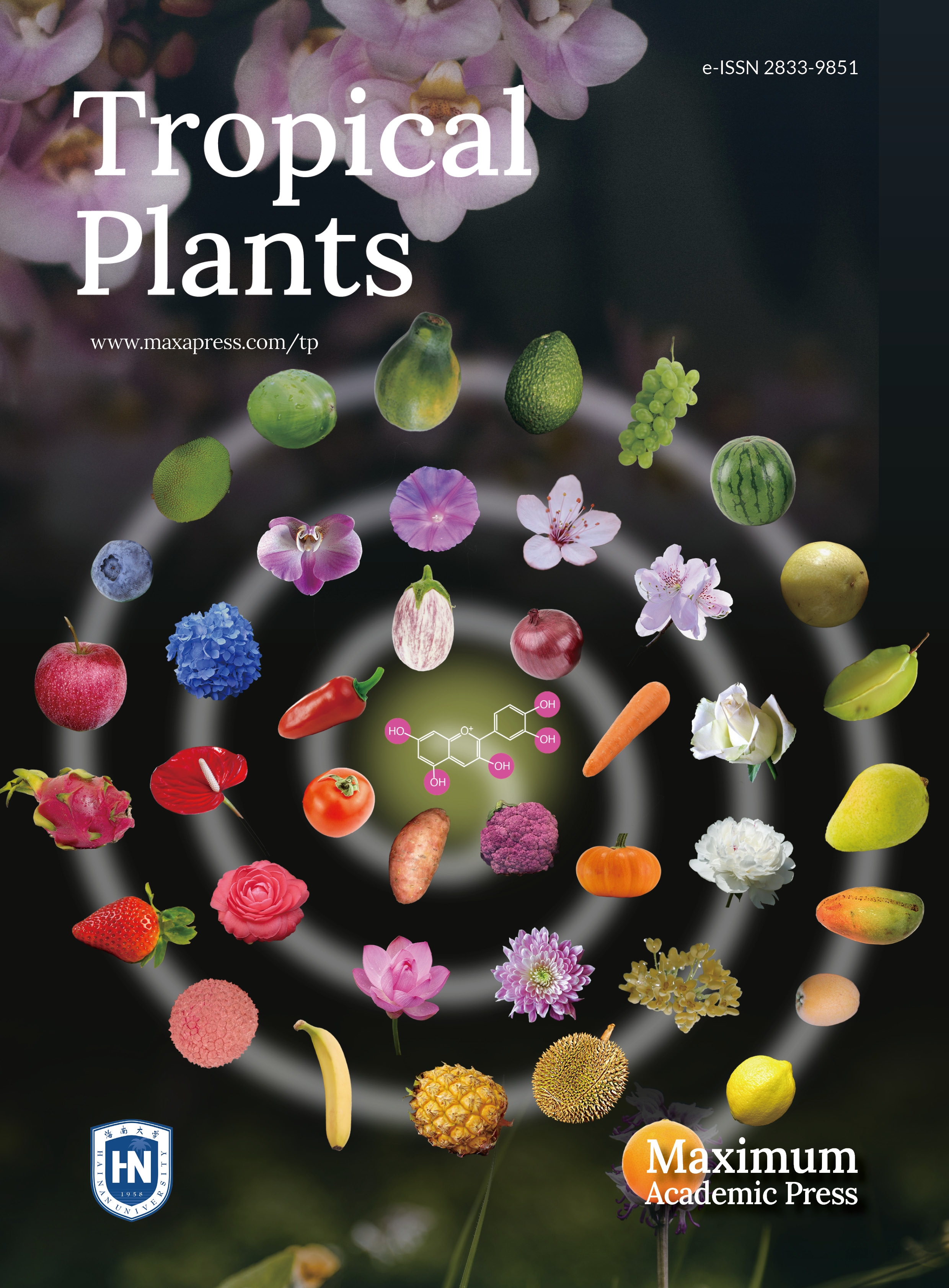 Advancing cassava molecular breeding through genome editing a promising ...